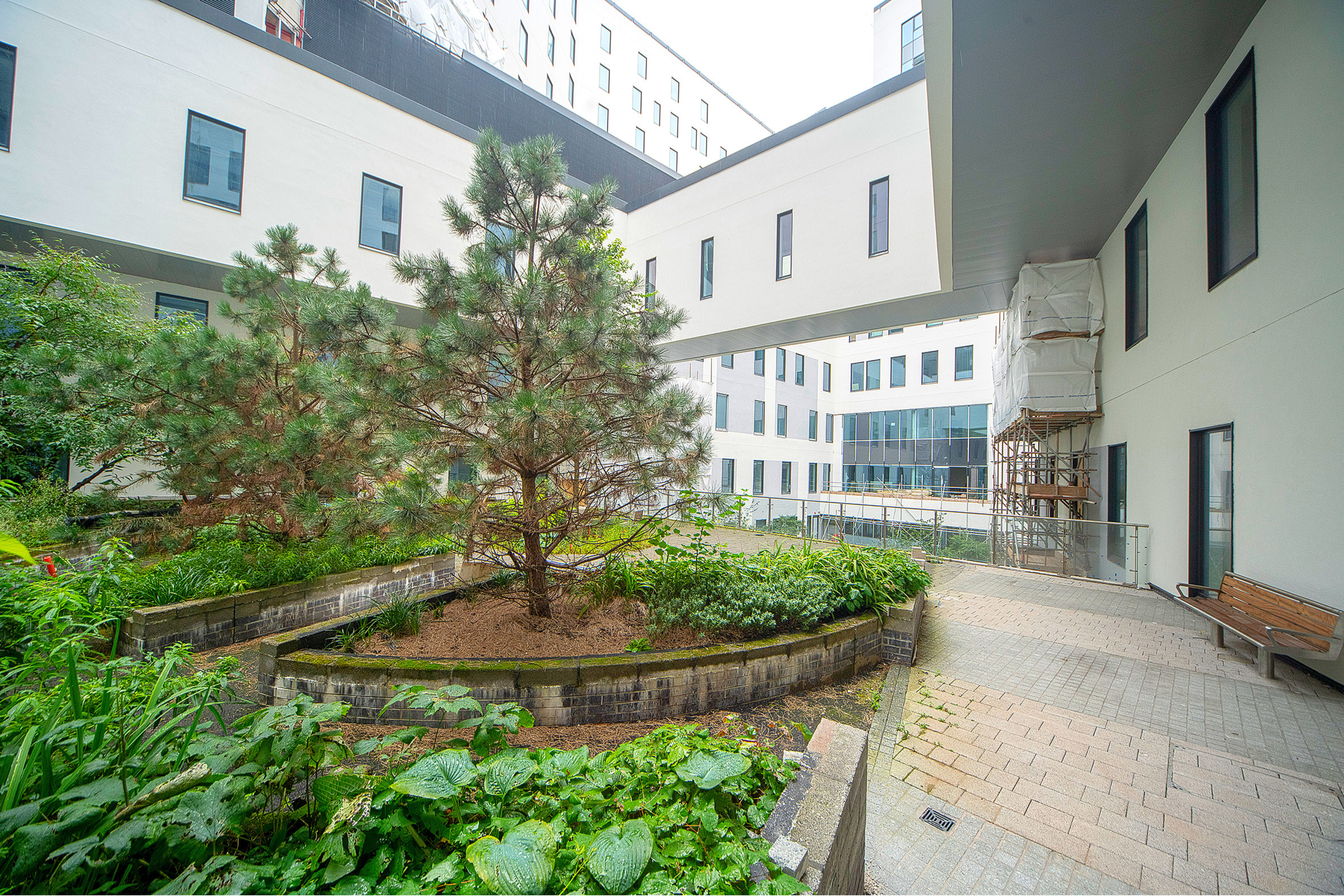 The Royal Liverpool University Hospital > Projects > Gleeds