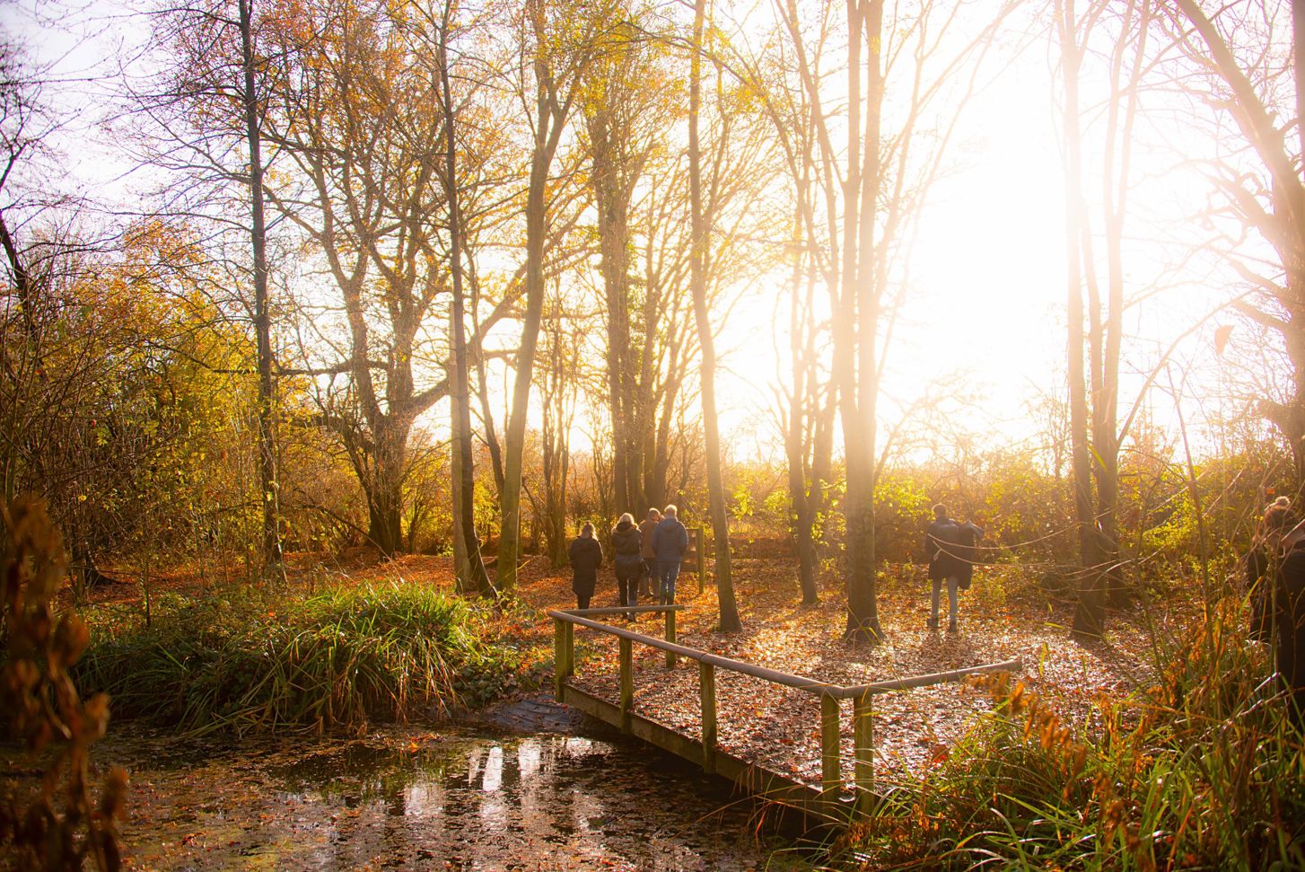 Gleeds Foundation > Our impact on the world > About us > Gleeds